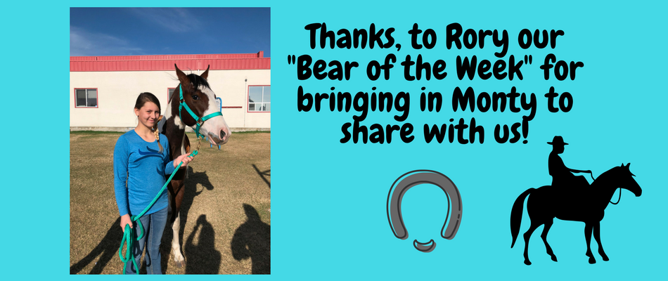 Baby Taylor Finn - Dunstable School