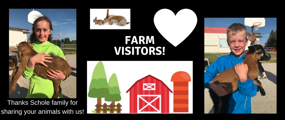 farmto Dunstable - Dunstable School